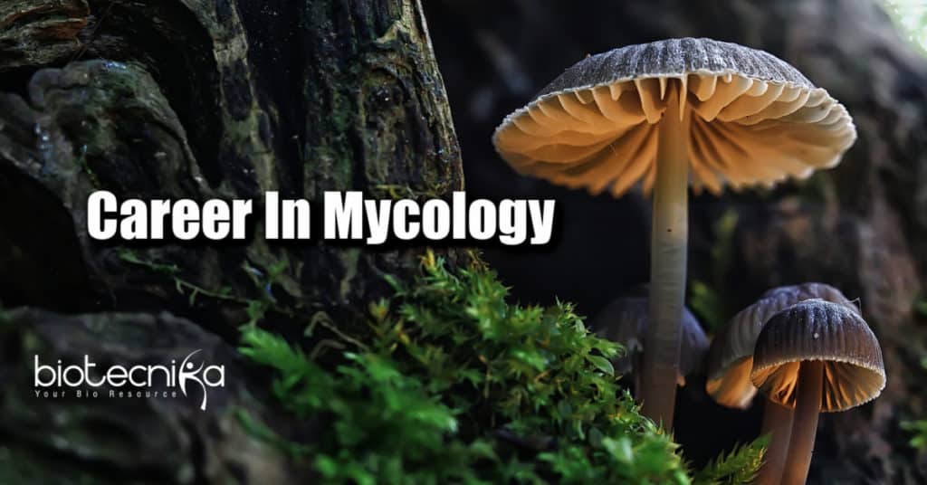 Career And Scope Of Mycology - How To Become A Mycologist