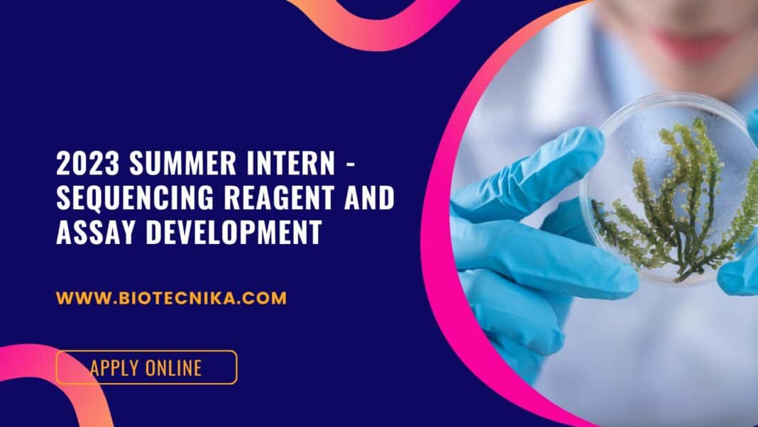 2023 Summer Intern - Sequencing Reagent & Assay Development