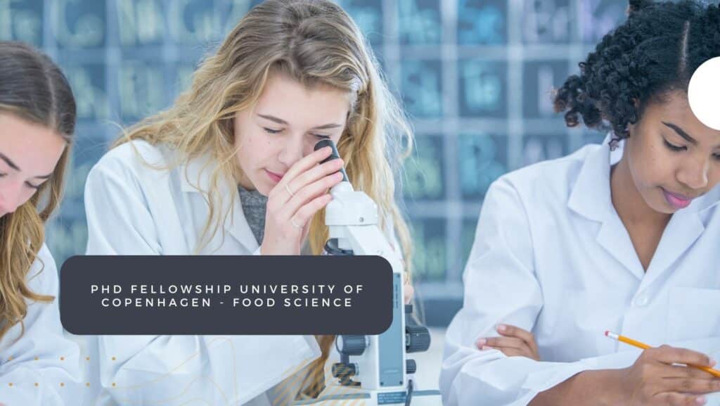 PhD fellowship University of Copenhagen - Food Science