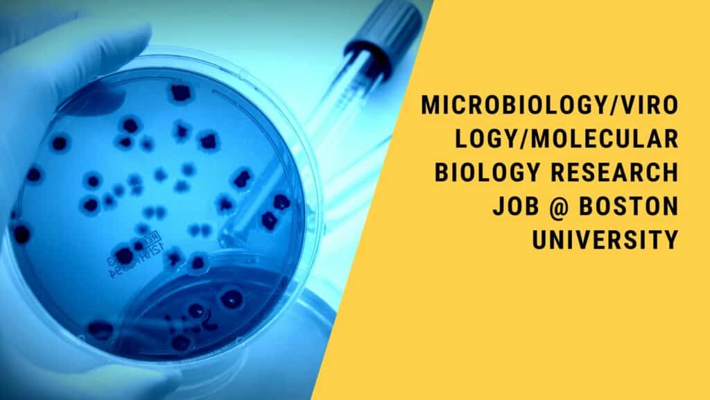 Microbiology/Virology/Molecular biology Research Job