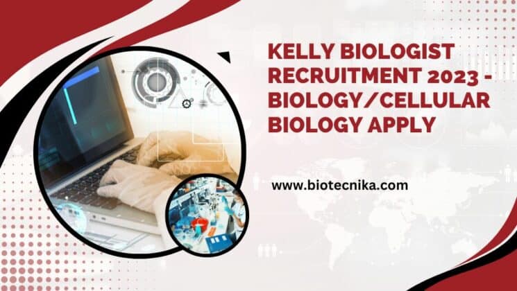 Kelly Biologist Recruitment 2023 - Biology/Cellular Biology Apply