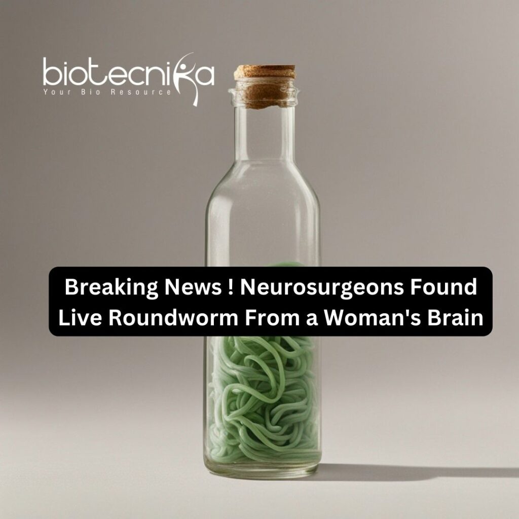 Live Roundworm From a Woman's Brain - Neurosurgeons Found