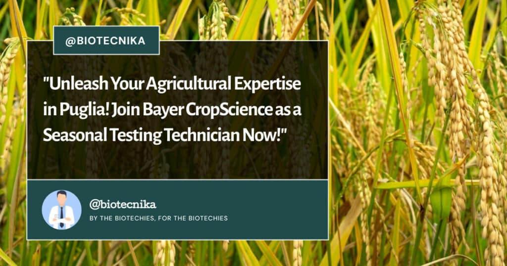 Bayer CropScience Agriculture Job Opening - Apply Now